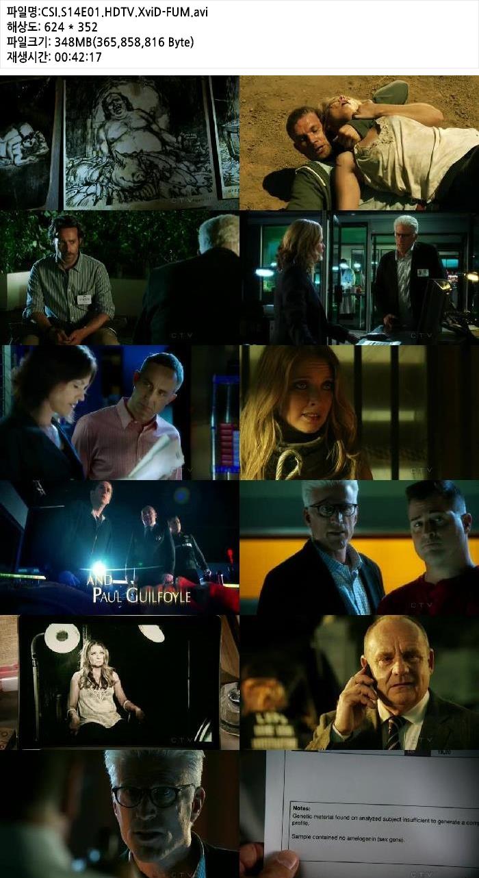 CSI 라스배가스 시즌14 22회 완결 [한영통합 ,무료다운 및 실시간 감상! : 파일이즈